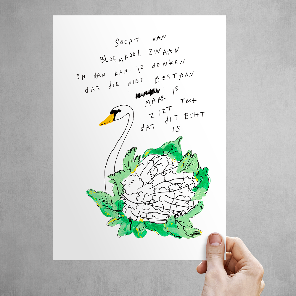 24. BLOEMKOOLZWAAN – RoPlaza