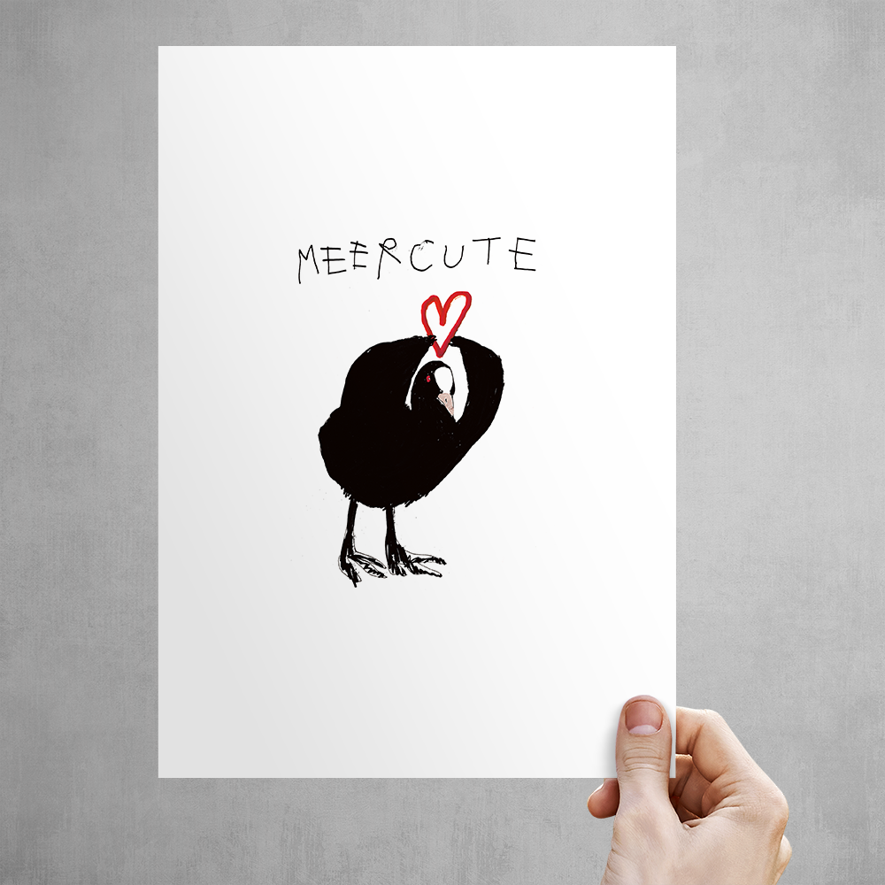 28.Meercute – RoPlaza