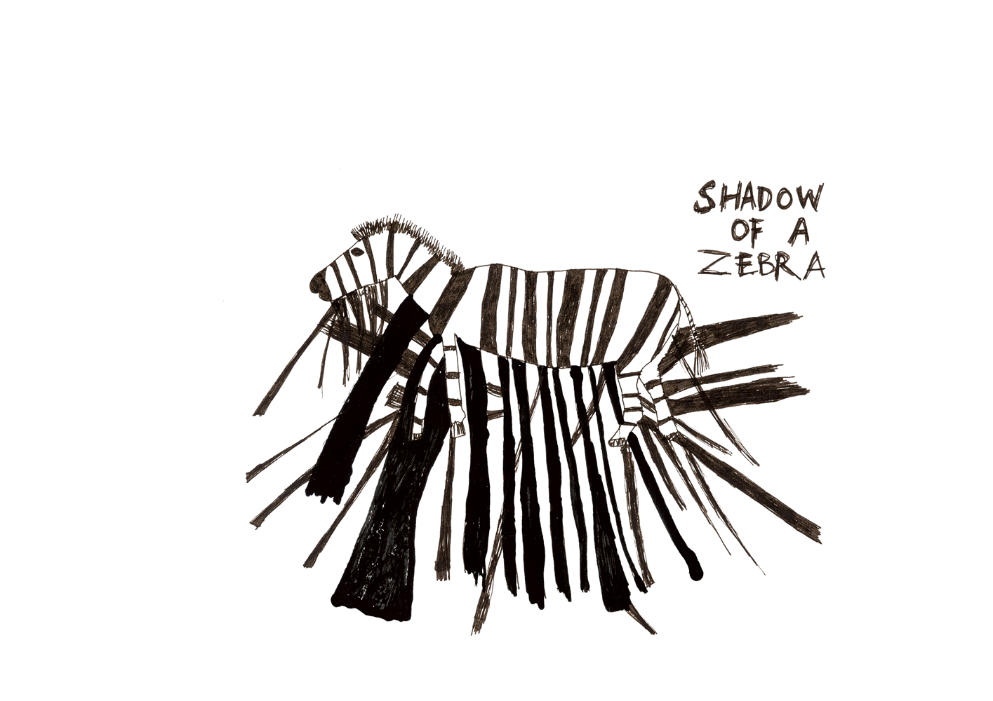 04. Shadow of a Zebra – RoPlaza