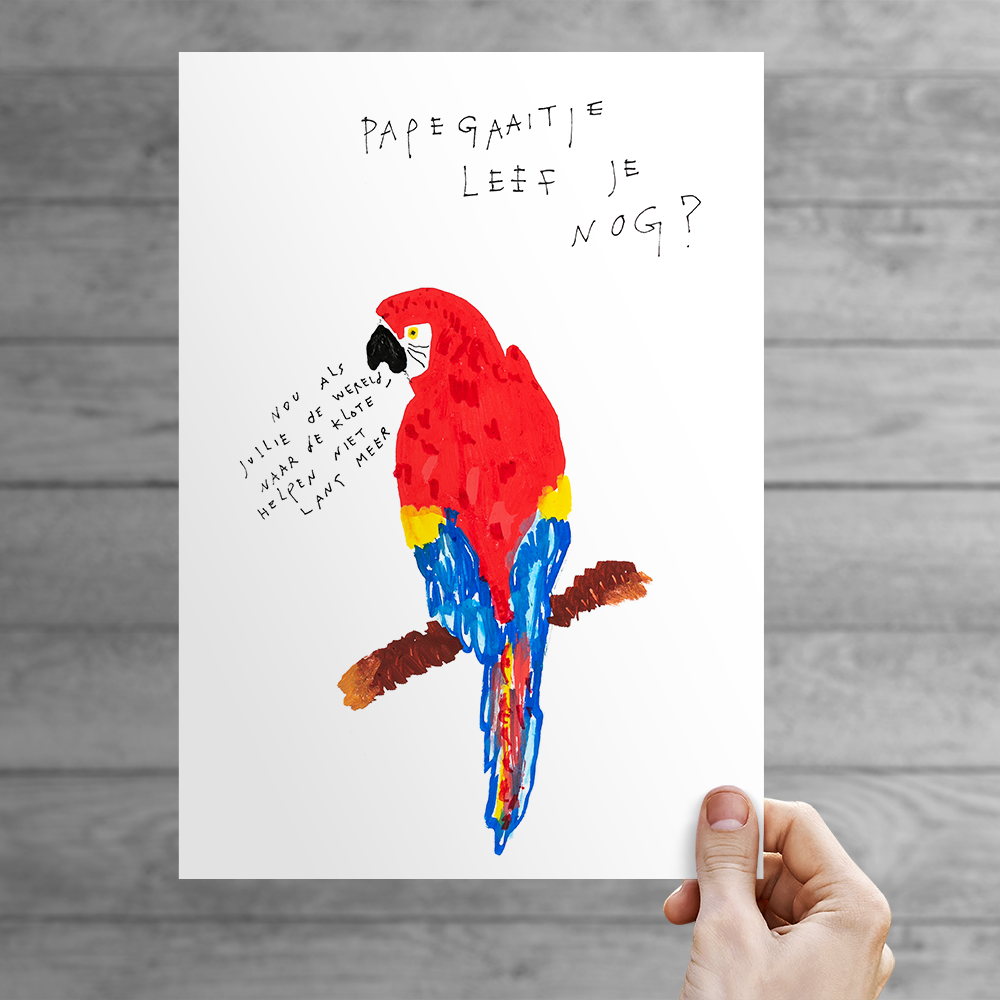 Papegaaien Startpagina Foto Behang Papegaai | Een Kleurrijke Papegaai